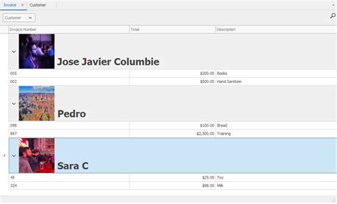XAF Win Image In ListView Grouping Jose Javier Columbie Blog