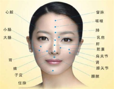鼻梁长痘图解鼻梁高鼻梁大山谷图库