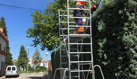 Empresa de poda de árboles en Zamora Poda y Tala Sostenible