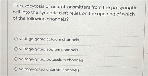 Solved The Exocytosis Of Neurotransmitters From The