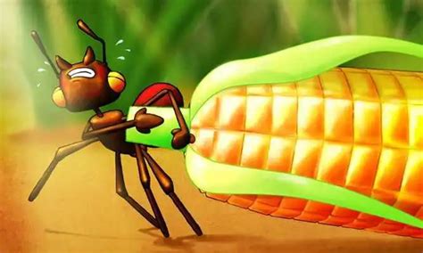 The Ant And The Grasshopper Online Game With Uptoplay