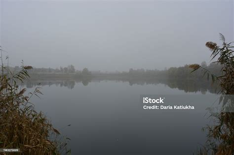 아름다운 풍경 커리어 레이크 드니 프로 도시 우크라이나 에 흰색 조밀 한 안개와 가을 자연 깨끗하고 아름다운 호수 주위에 노란 잎키가 큰 나무와 큰 관목 0명에 대한 스톡
