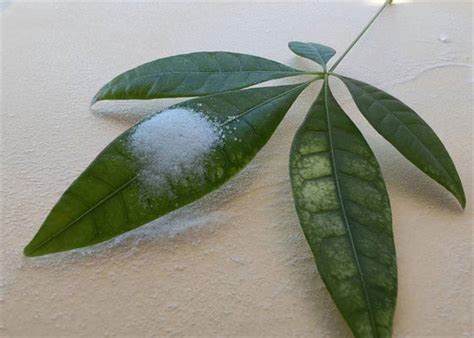 High Adhesion Solid Acrylic Resin Soluble In Alcohols For Inks