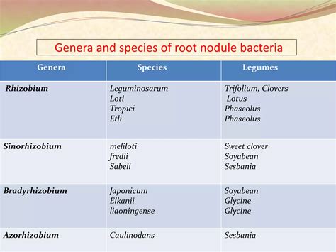 Biological Nitrogen Fixationpptx Gardening Home And Garden