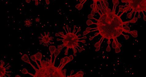 코로나 바이러스 세포 호흡기 감염을 일으키는 바이러스의 그룹 3d 렌더링 3d 일러스트레이션 3d 렌더링 0명에 대한 스톡 사진 및 기타 이미지 Istock