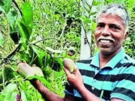 Meet Joseph Lobo The Farmer Cultivating Rs 3 Lakh Per Kg Mangoes In His Own Garden