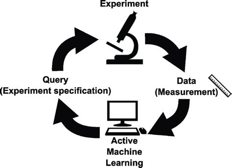 The Active Learning Loop In Active Machine Learning Data From
