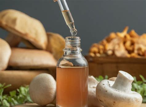 Unlocking The Power Using Medicinal Mushroom Tinctures Effectively