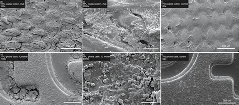 Compostable Algae Based Tpu Plastic Study Results Specialty Fabrics