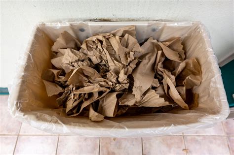 How To Compost Eggshells And Why Should You Do It