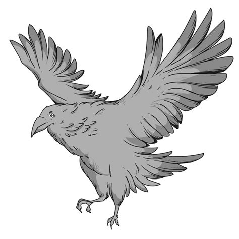 Dibujado a mano ilustración de dibujo volador de cuervo Vector Premium