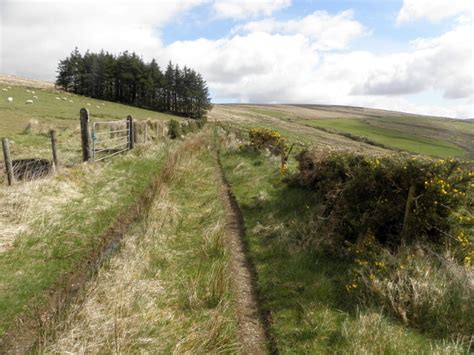 Rough Lane Garvagh Kenneth Allen Geograph Ireland