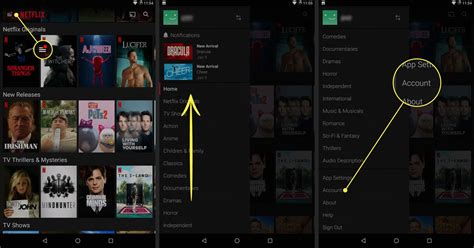 Changing Your Netflix Password