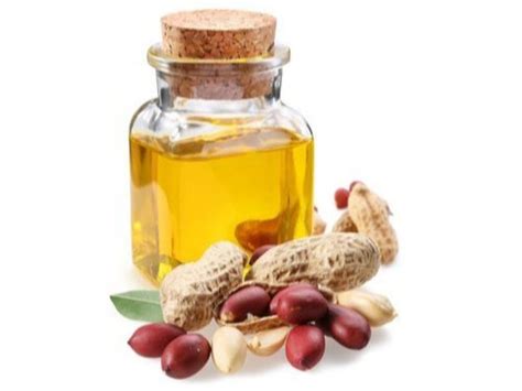 Groundnut Oil Peanut Oil Latest Price Manufacturers And Suppliers