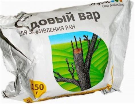 Алимны модны холтос их бие яагаад хар өнгөтэй болдог вэ энэ юу вэ юу хийх вэ Миний