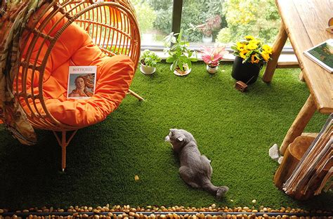 Explore The Benefits Of Artificial Grass Roof Ccgrass