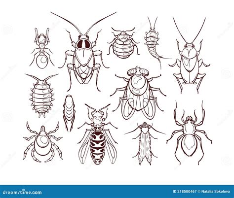 Set Of Common Household Pests Macro Of Insects Cartoon Vector