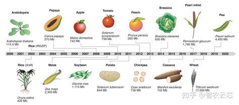 Nature Genetics 将作物基因组学从实验室推广到田间 知乎