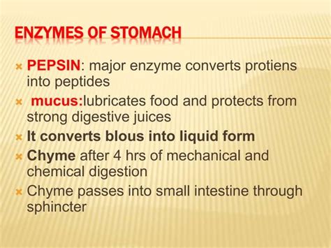 Digestive System Cpt Coding 2017 Pptx Digestive Disorders