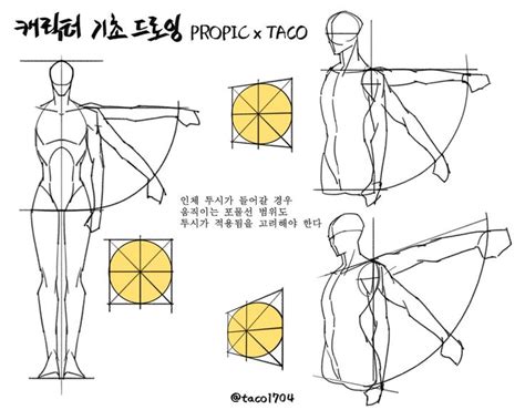 타코작가 on X 인체 그리기 튜토리얼 드로잉 강좌