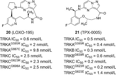 Figure 8 From Development Of Small Molecule Tropomyosin Receptor Kinase