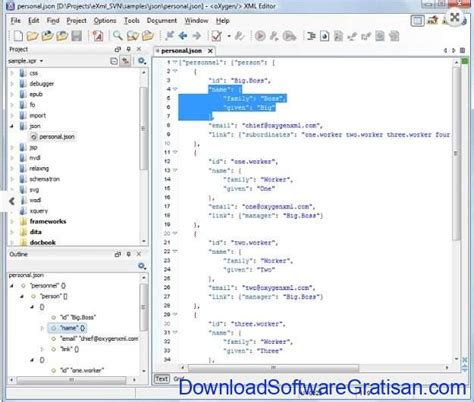 Desktop Json Editor Tewskits