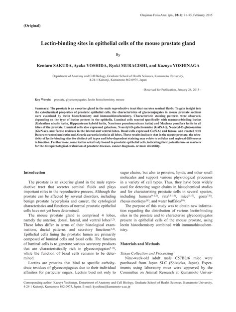 Pdf Lectin Binding Sites In Epithelial Cells Of The Mouse Prostate Gland