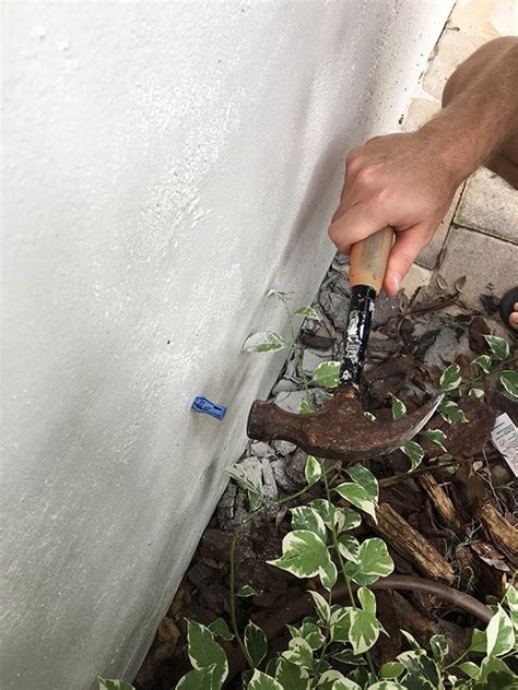 Easy And Affordable DIY Trellis Install Jenna Sue Design