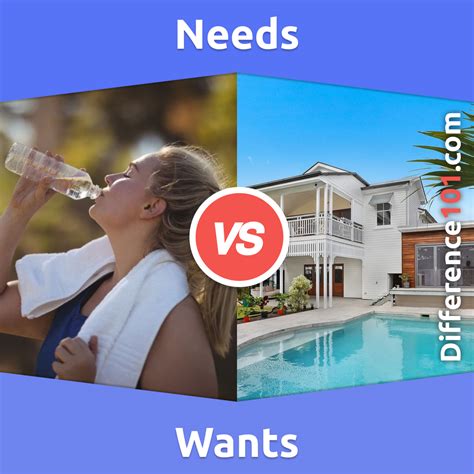 Needs Vs Wants 8 Key Differences Pros Cons Examples Difference 101