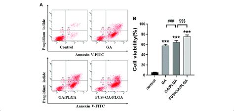 A The Apoptosis Test Of U251 Cells B The Apoptosis Rate Of U251