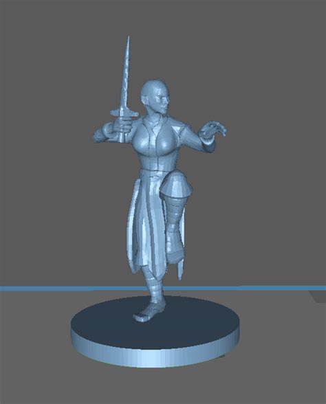 Adventurer Female Human Monk Short Sword Dark Castle Terrain