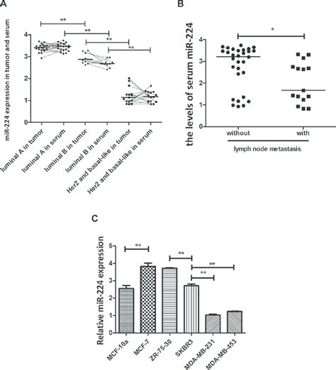 Mir 224 Expression In Breast Cancers The Relative Levels Of Mir 224