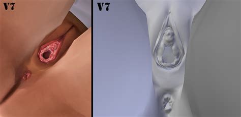 Female Body Parts Collection Downloads The Sims 4 Loverslab
