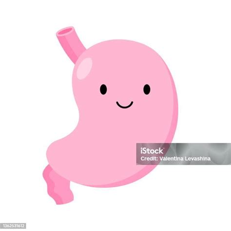 위장 캐릭터 만화 내부 장기 귀여운 위장관 건강한 행복한 위장 흰색 배경에 격리된 스톡 벡터 그림입니다 조절형 위밴드에 대한 스톡 벡터 아트 및 기타 이미지 Istock