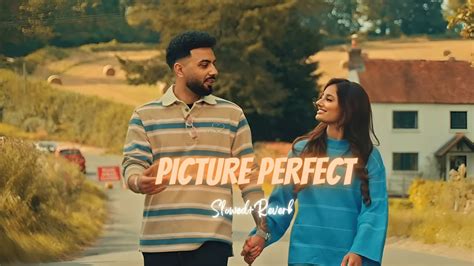 Picture Perfect Slowed Reverb Navaan Sandhu YouTube