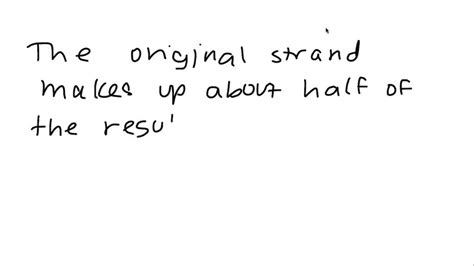 SOLVED After The Replication Of A DNA Where Are The Original DNA Numerade