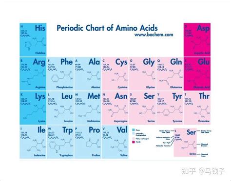 为什么赖氨酸（lysine，lys）单字母代码是k 知乎