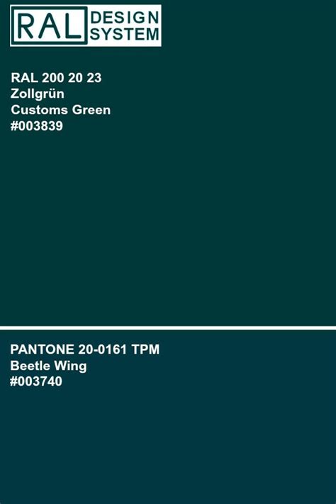RAL Customs Green Color RAL Hex Pantone PMS