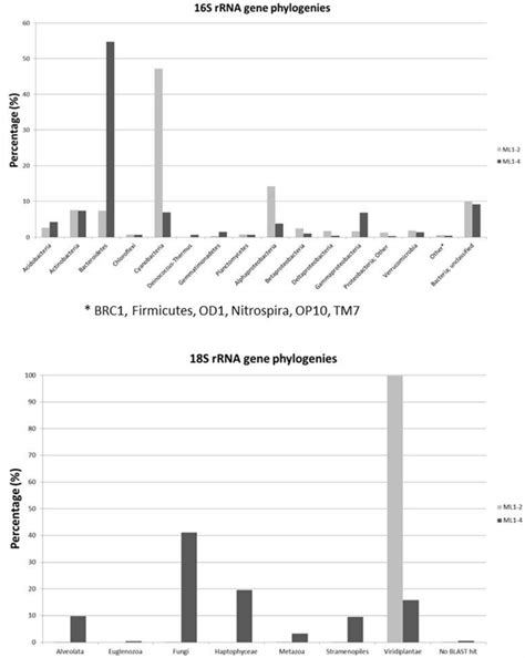 Bacterial And Eukaryotic Phylogeny Of 16s Rrna And 18s Rrna Genes From