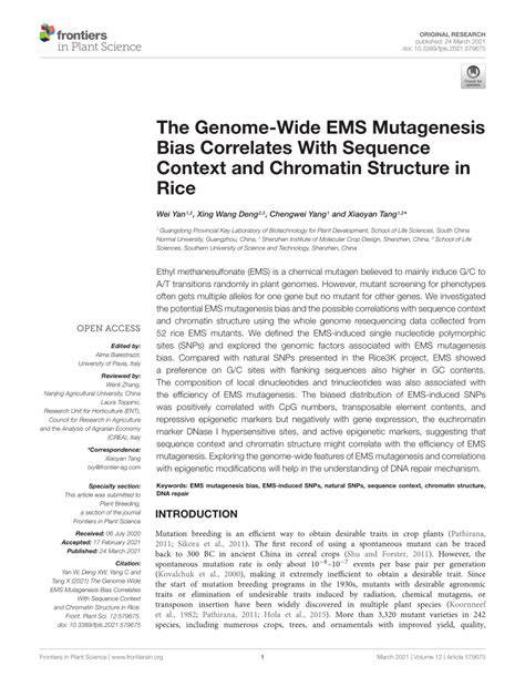 Pdf The Genome Wide Ems Mutagenesis Bias Correlates With Sequence