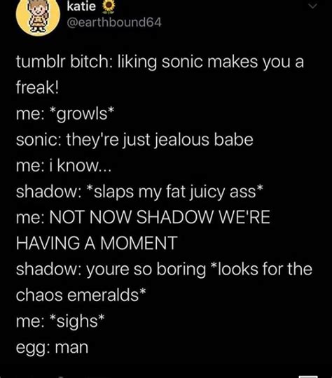 Thanks I Hate Sonic Rtihi