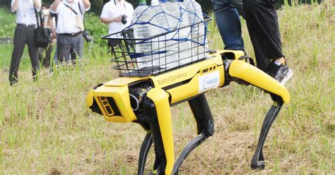 「四足歩行ロボット」 Alea Iacta Est