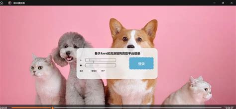 Ssmphpnodepython基于的流浪猫狗救助平台 Csdn博客