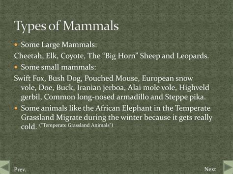 Temperate Grasslands Ppt