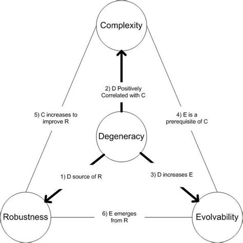 High Level Illustration Of The Relationships Between Degeneracy Download Scientific Diagram