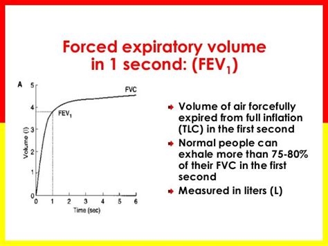 Spirometry Basics