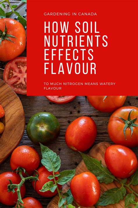 How Soil Nutrients Affect The Flavour Of Fruit A Scientific Overview Gardening In Canada