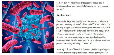 Cancer Rogue Cells And How To Manage Them Part I Herbal Clinic