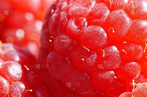 覆盆子的特写