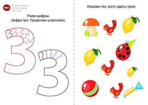 Знакомство с цифрой 3: прописи, раскраски, картинки для детей ...